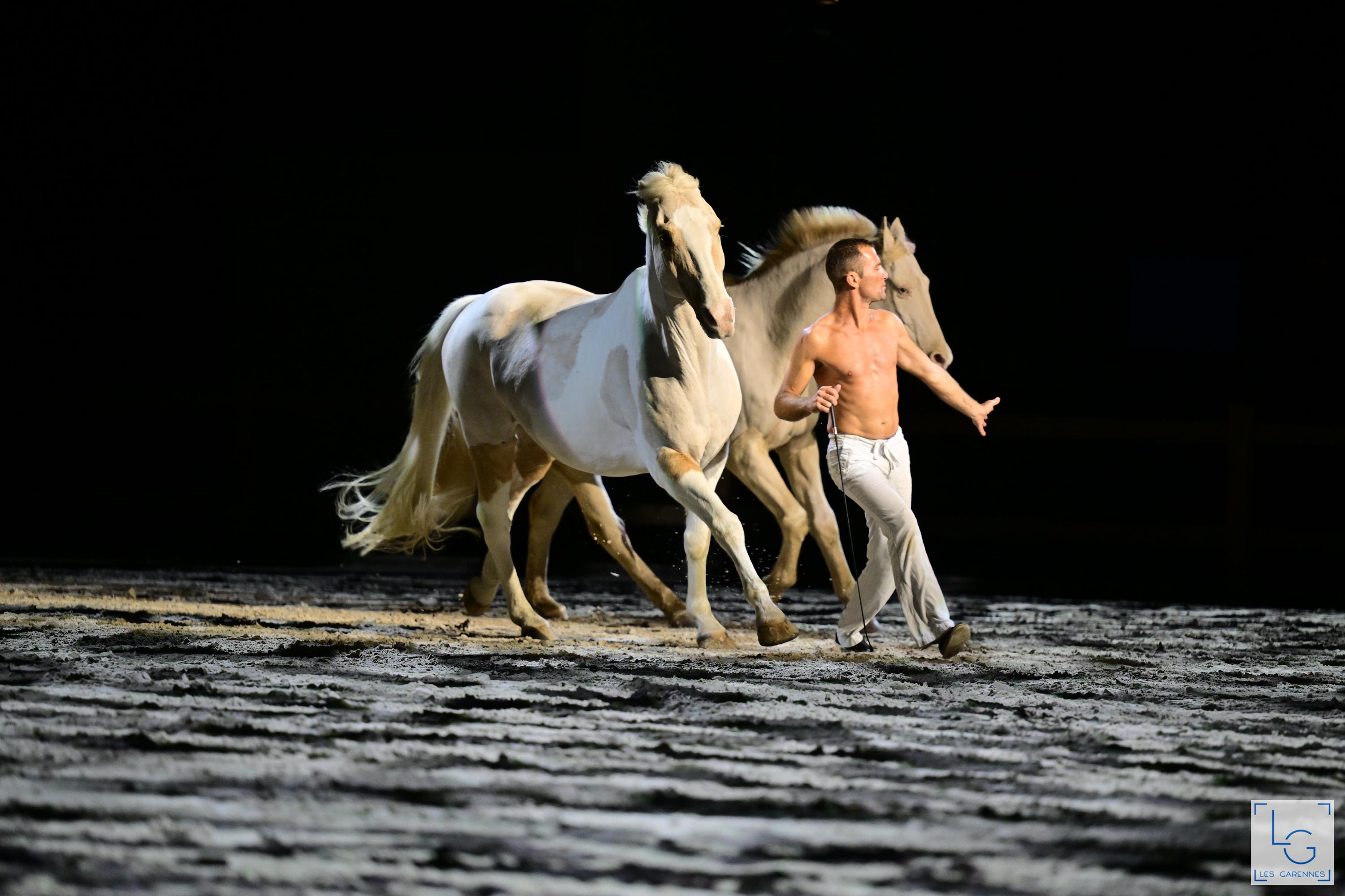 Julien Lecourt Étoile Équestre 2024 au Salon du Cheval d'Angers