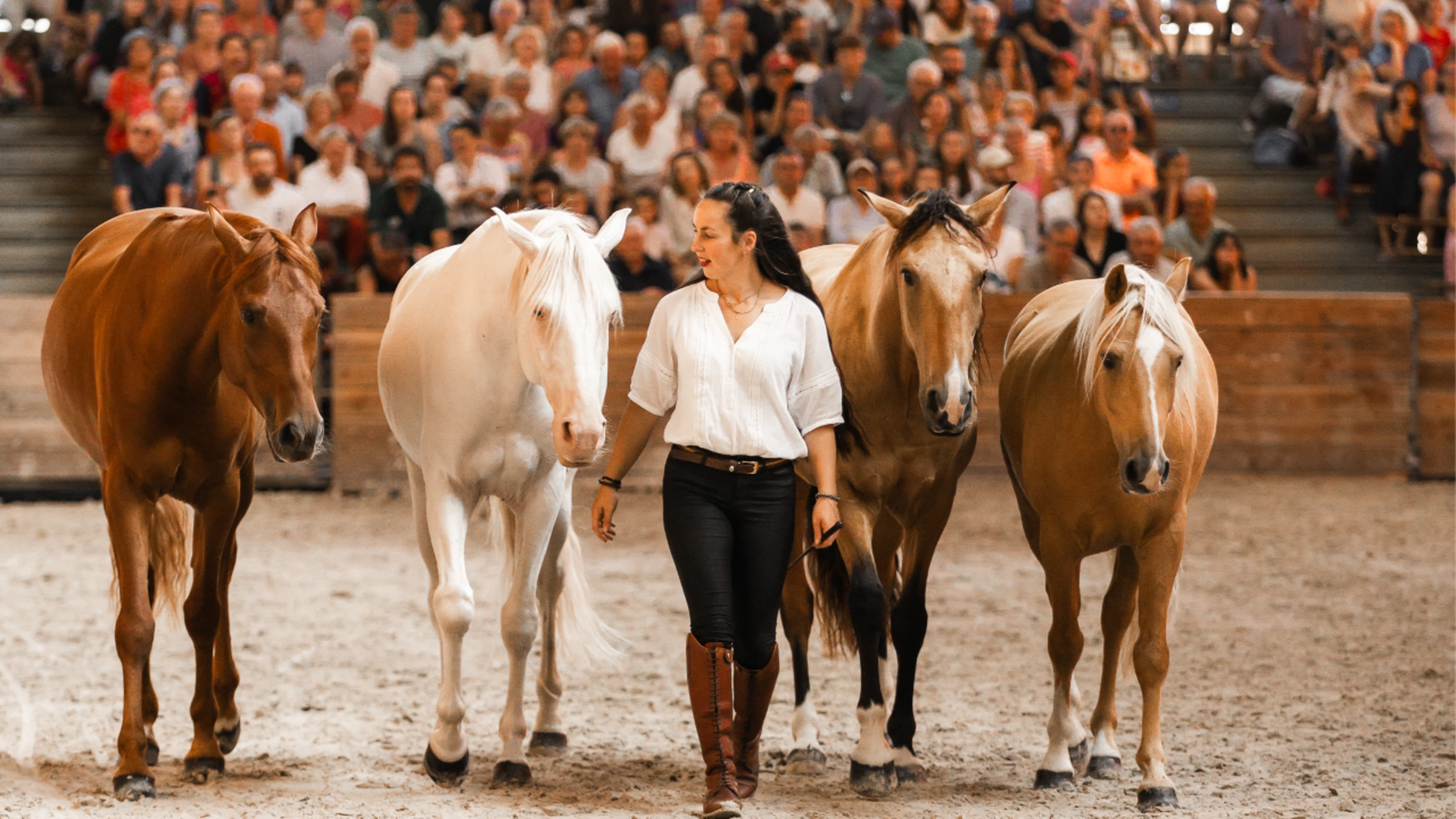 Spectacle chevaux en liberté | Salon du Cheval 2025